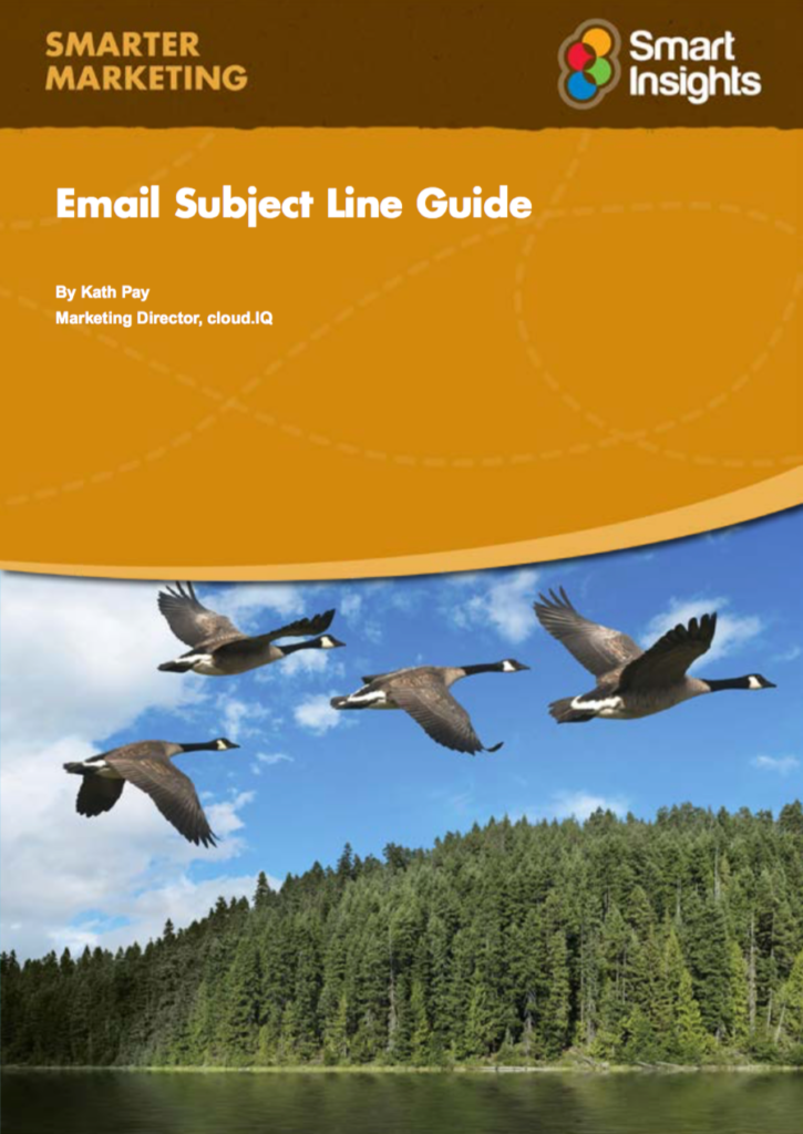 Email Subject Line Guide - Holistic Email Marketing